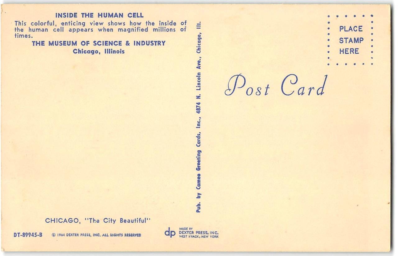 THE HUMAN CELL Chicago, IL Museum of Science & Industry 1964 Vintage ...