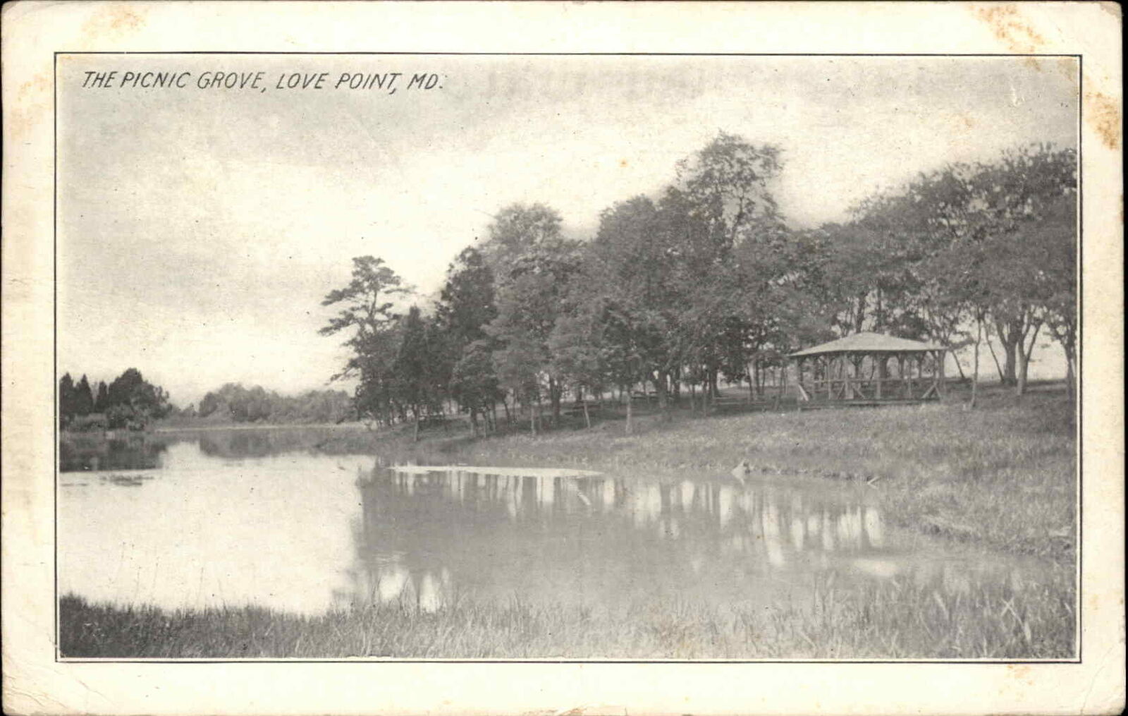 Love Point MD Picnic Grove c1910 Postcard | United States - Maryland ...