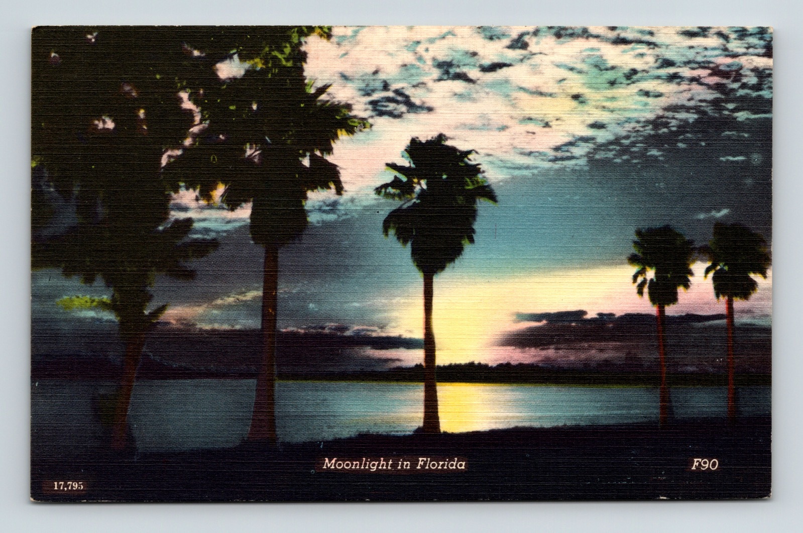 Florida Scenic Moonlight View Tropical Palm Trees Linen WOB UNP ...