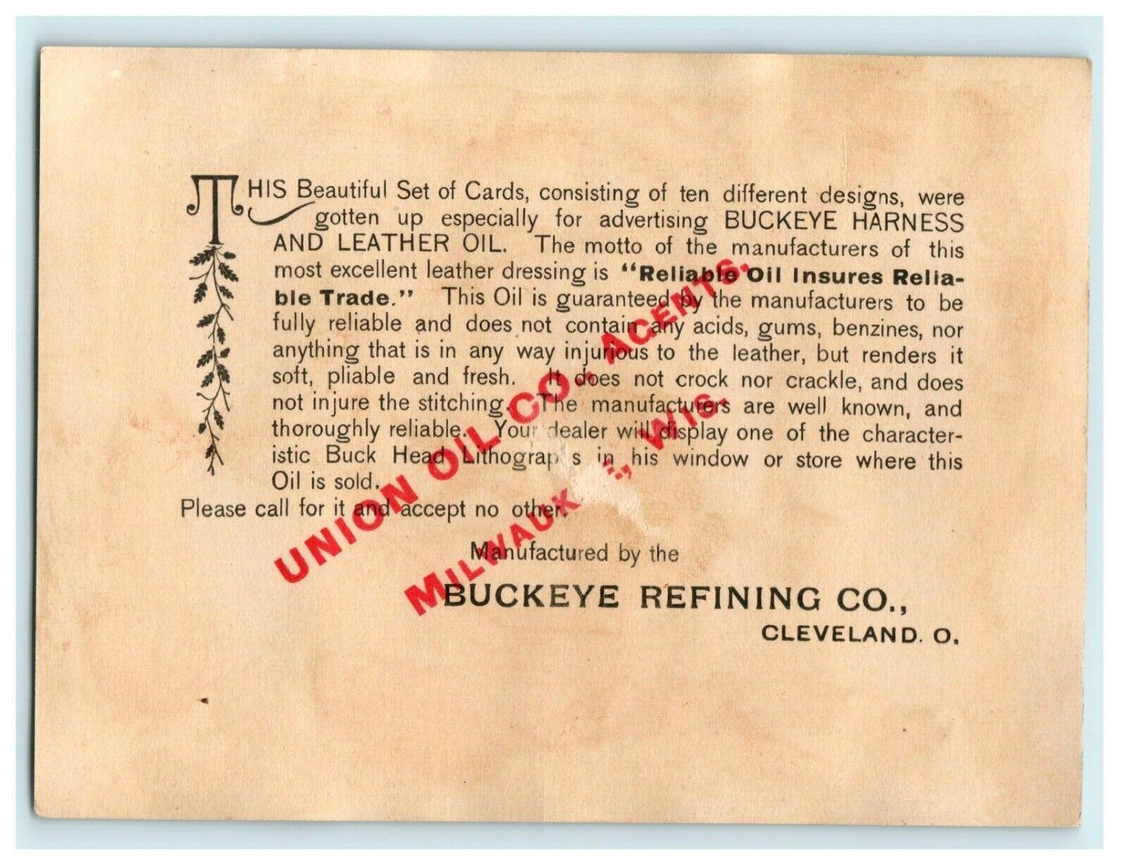 1880s-90s Union Oil Co. Buckeye Refining Co. Adorable Cat Kitten Image ...