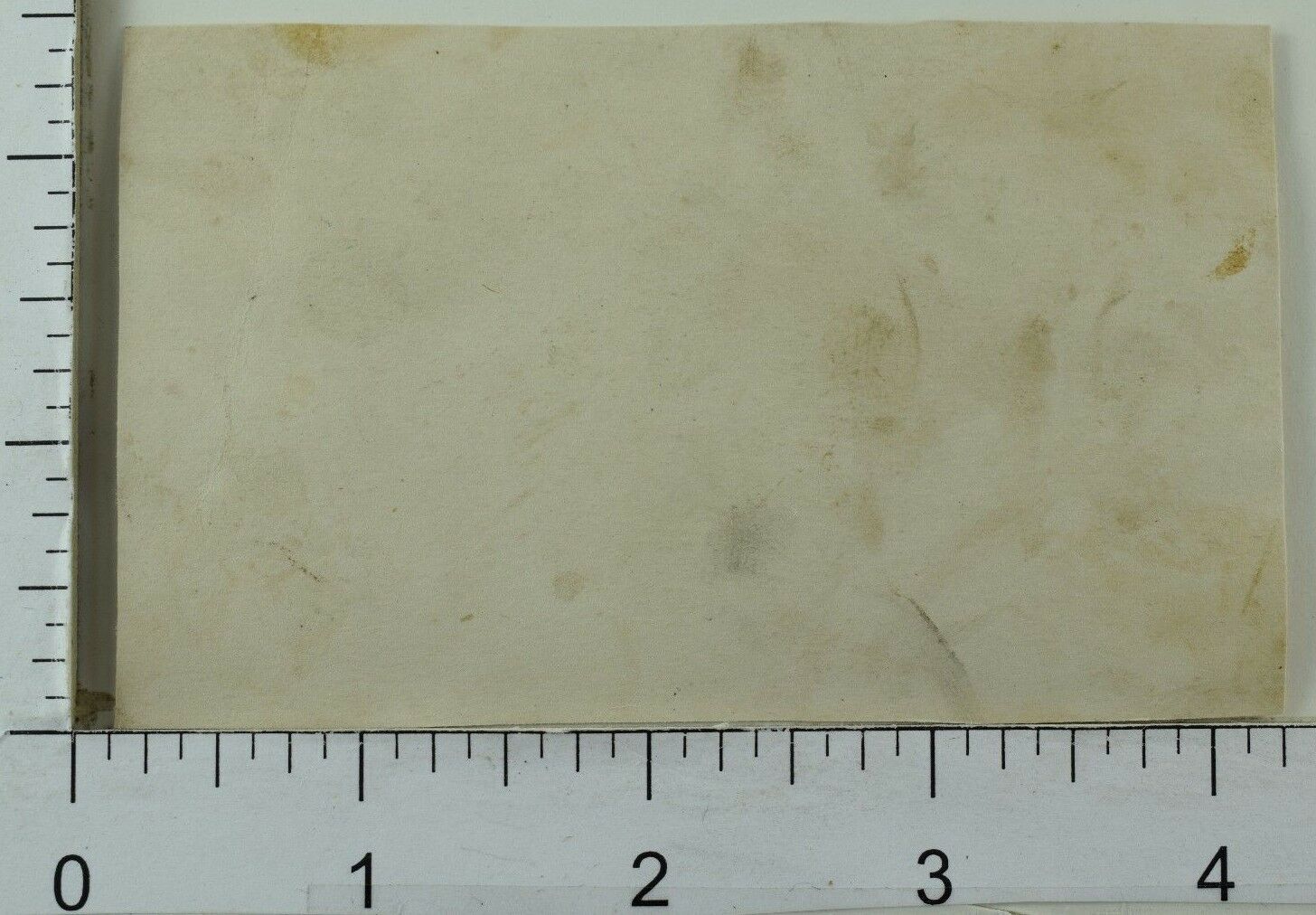 1880's Lovely Flower Fairies Battling Giant Insects Victorian Trade ...