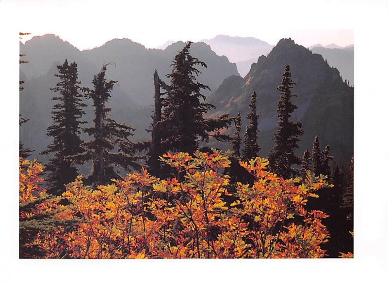 National Parks National Parks, Photograph Of David Muench | Topics ...