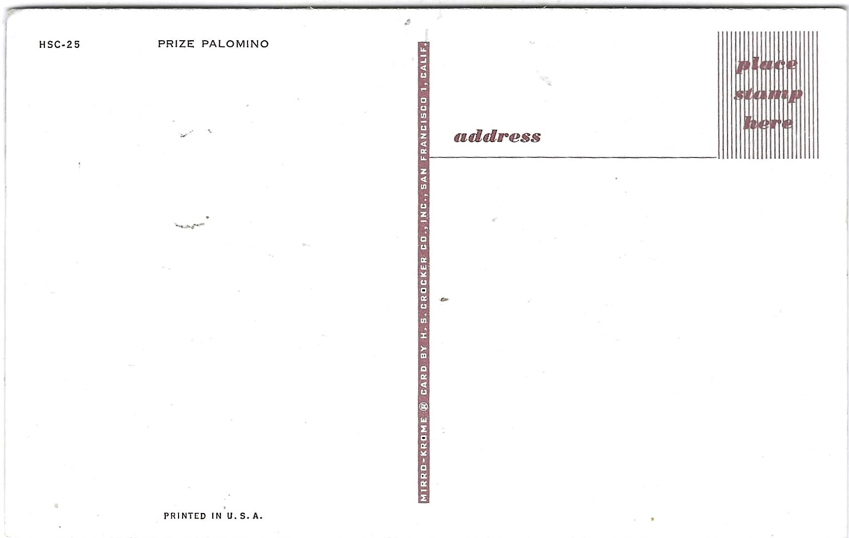 Horse, A prize Palomino, chrome postcard | Topics - Animals - Horses ...