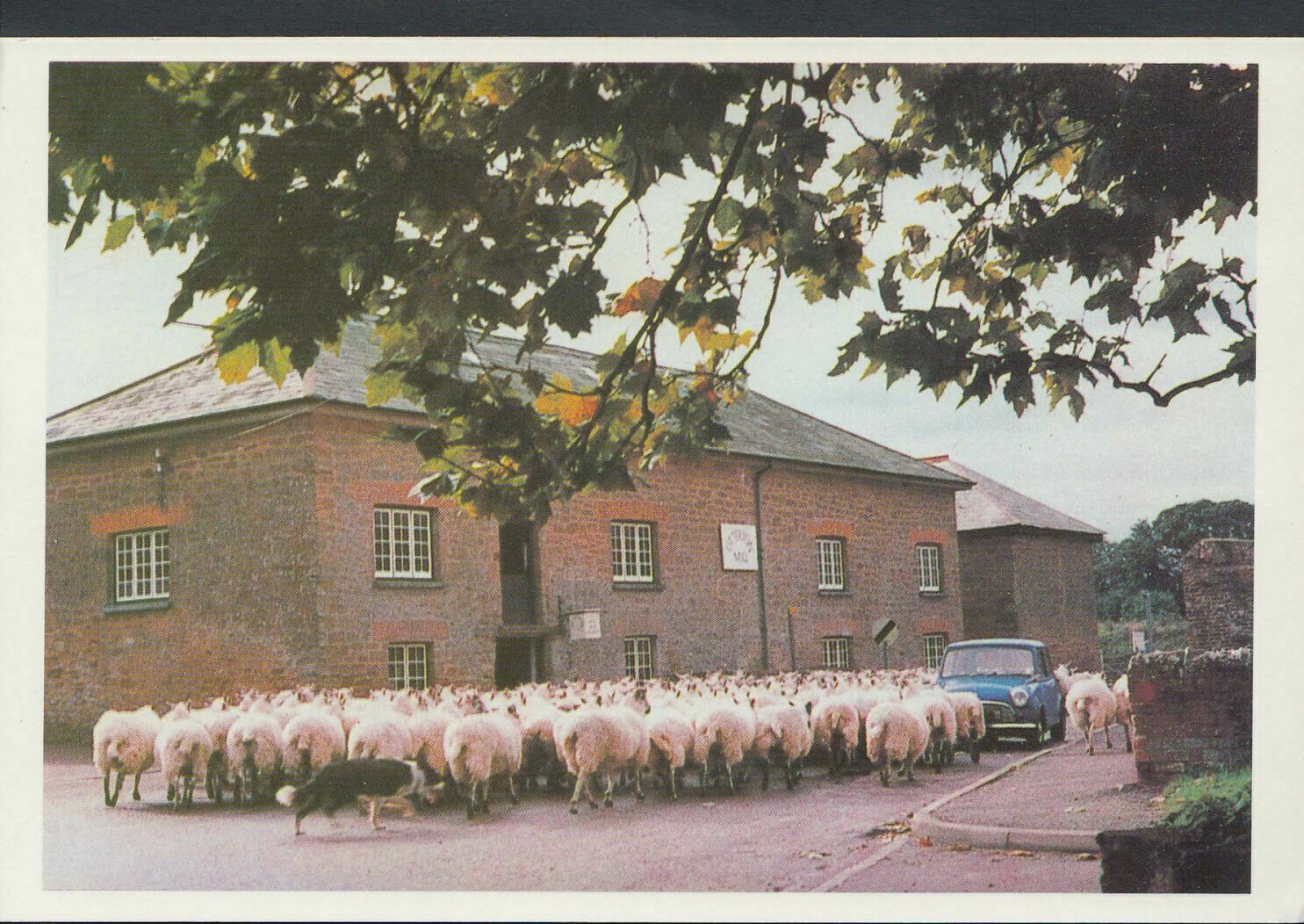 Devon Postcard - Otterton Mill - Corn Mill With Two Water Wheels LC6189 ...