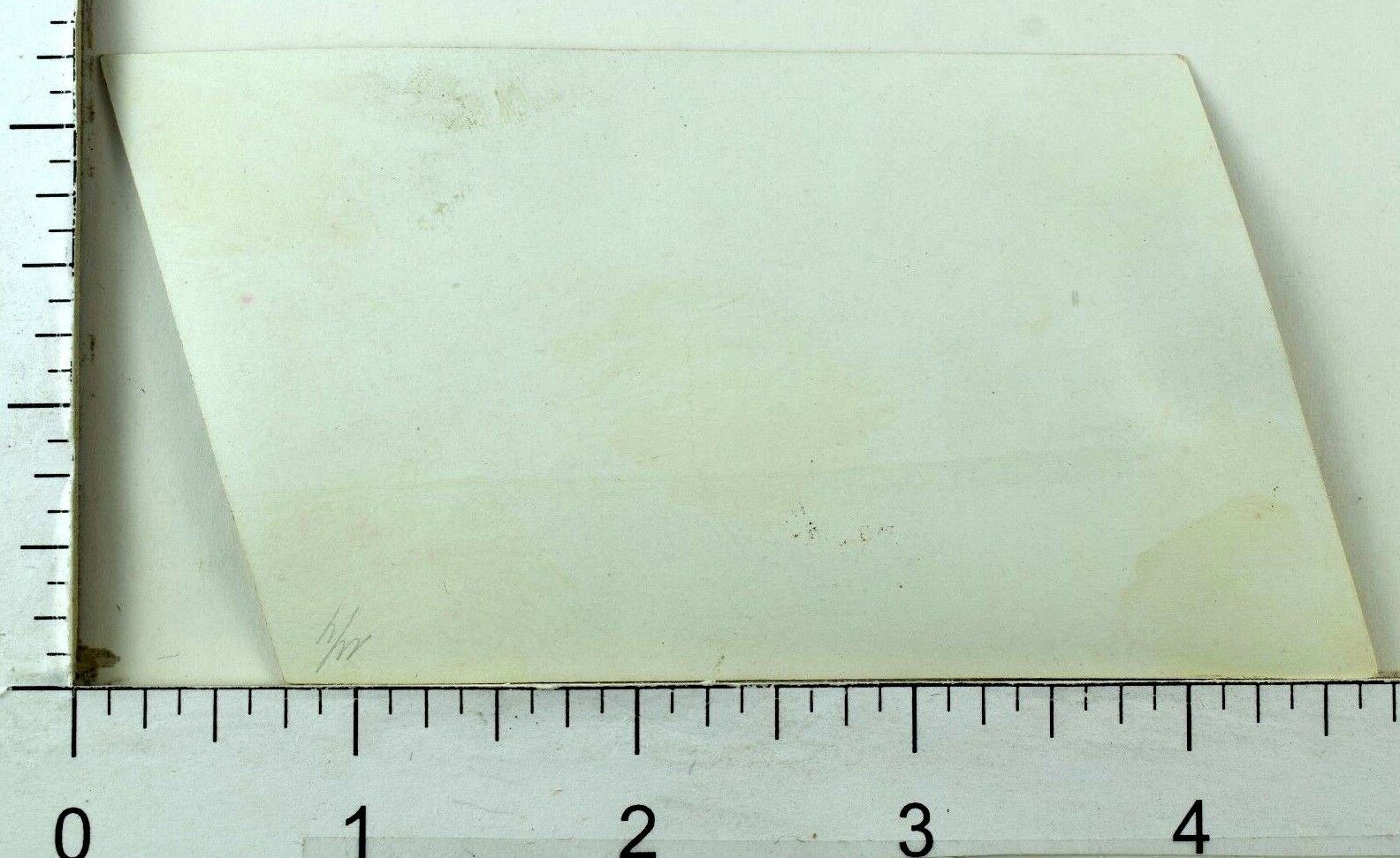 1880's Lovely Child Butterfly Insect Catching Net Christmas Victorian ...