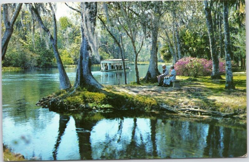 Scenic River scene along Silver River in Silver Springs Florida ...