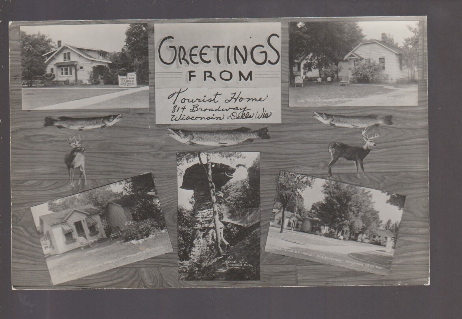 Wisconsin Dells WI RPPC c1950 5 VIEW Collage TOURIST HOME Roadside ...