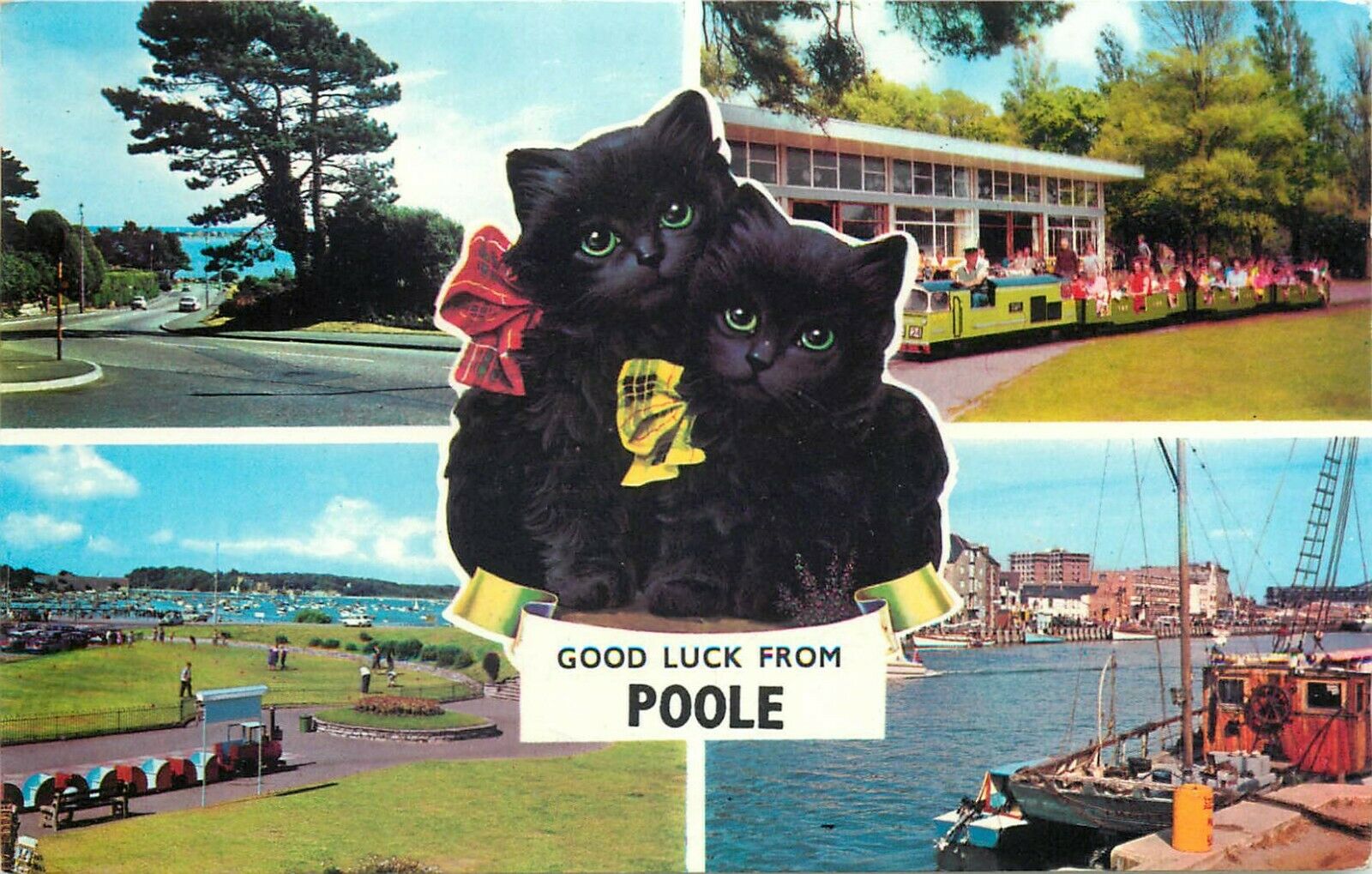 Good luck from Poole lovely black kitties black cats & multi views ...
