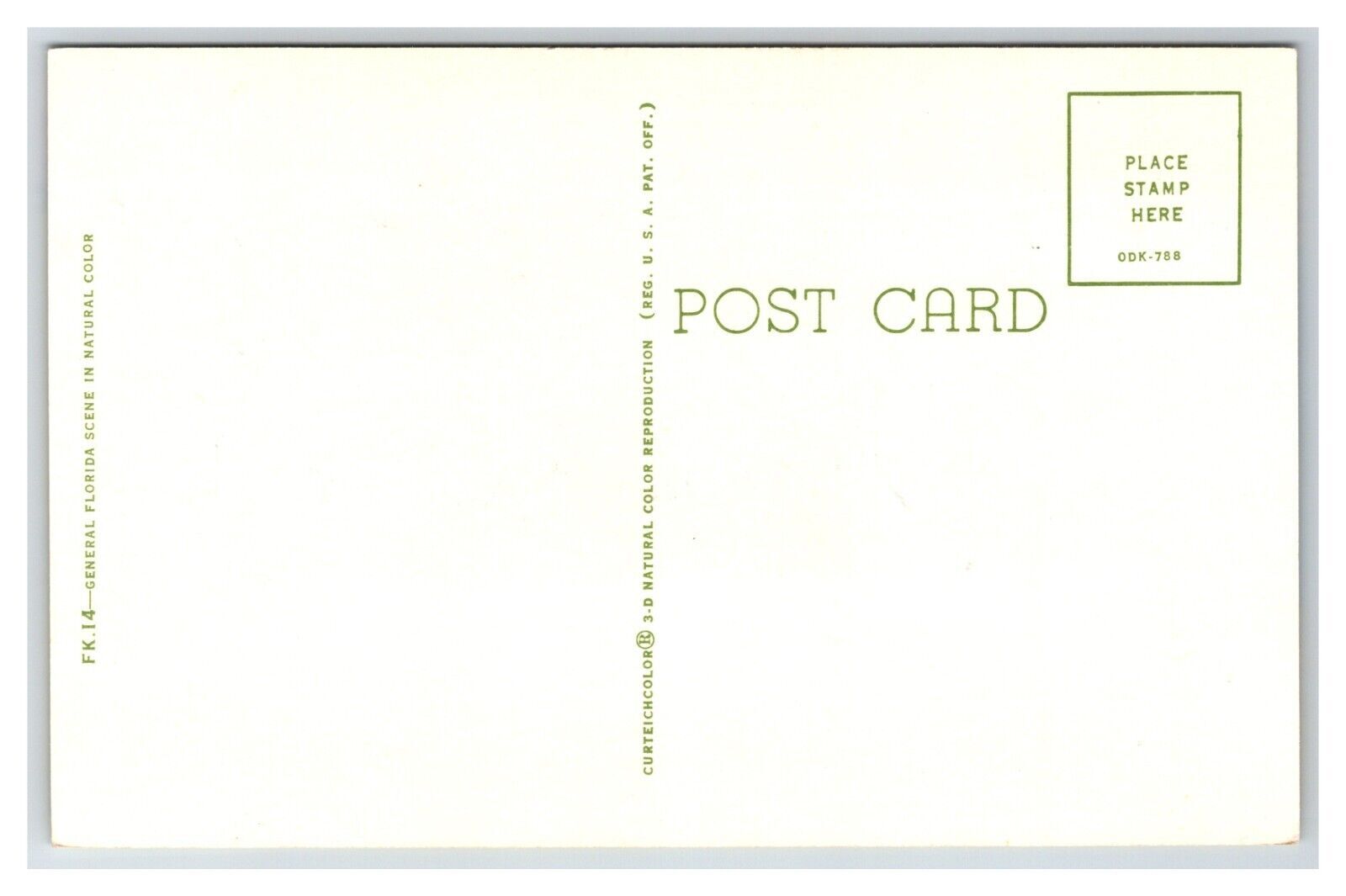 Comic Greetings Alligator Came to See the Sights Florida UNP Chrome ...