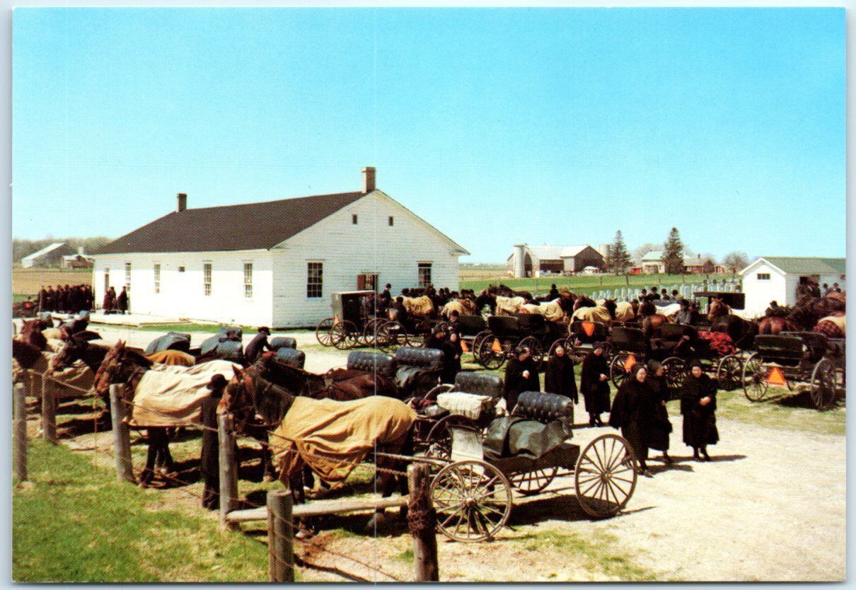 Postcard - Old Order Mennonites - Elmira, Canada | Canada - Other ...
