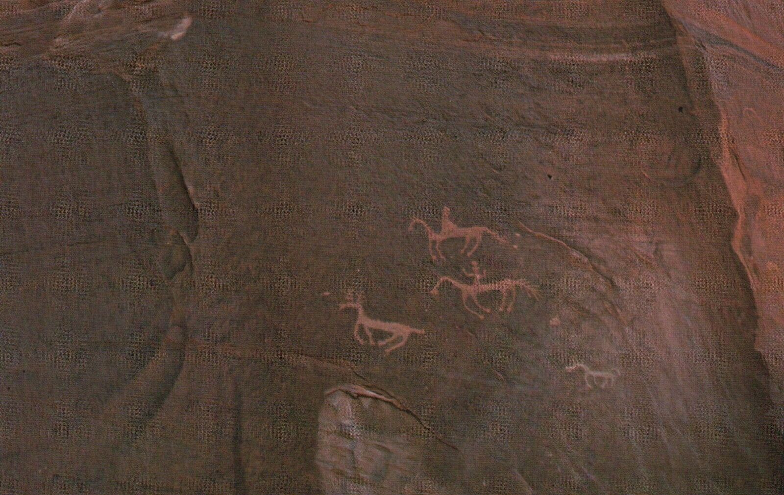 Postcard AZ Anasazi Pictographs on Canyon Wall Unposted Chrome Vintage ...