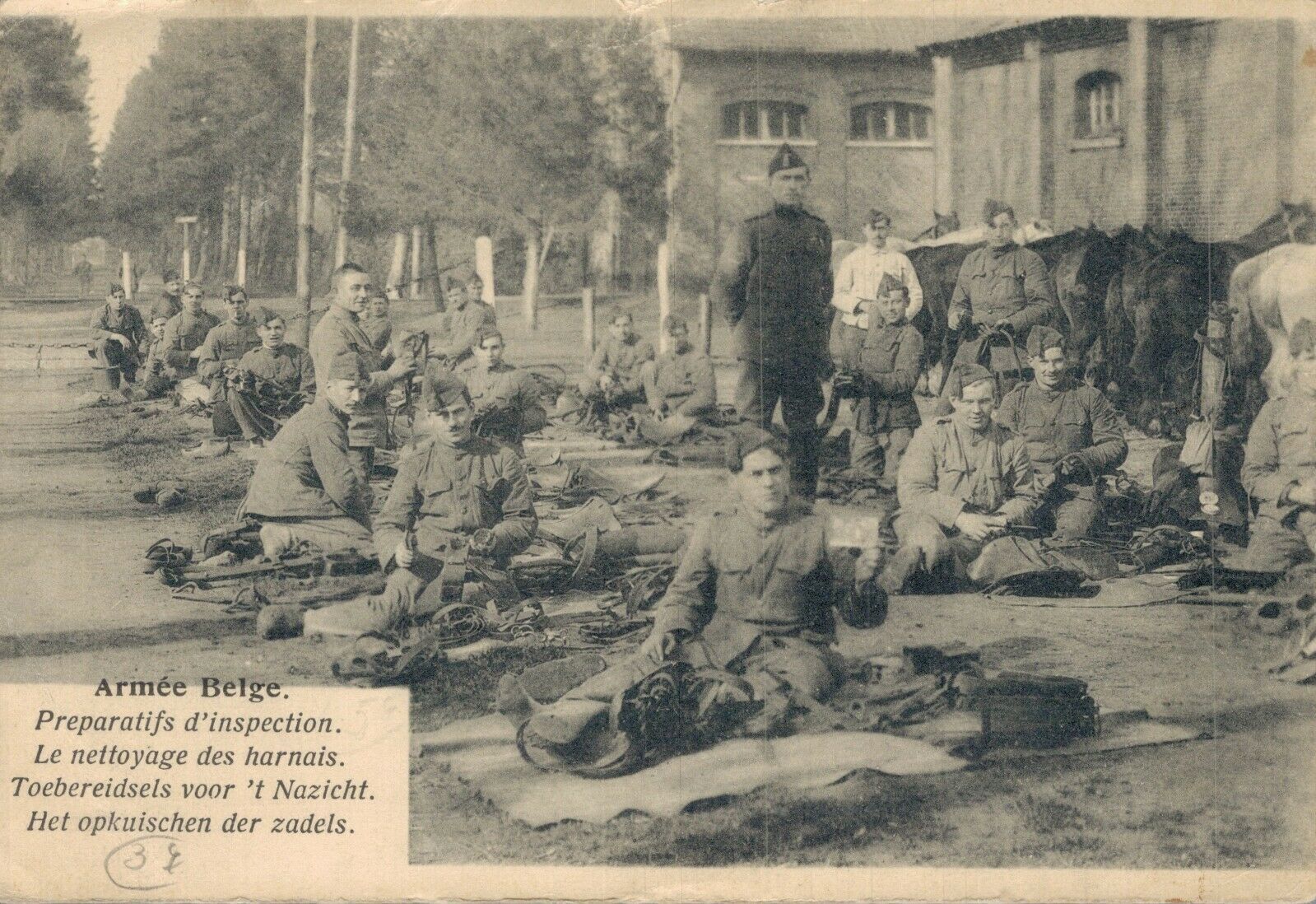 Military Belgium Army Before Riding Their Horses WW1 Vintage Postcard ...