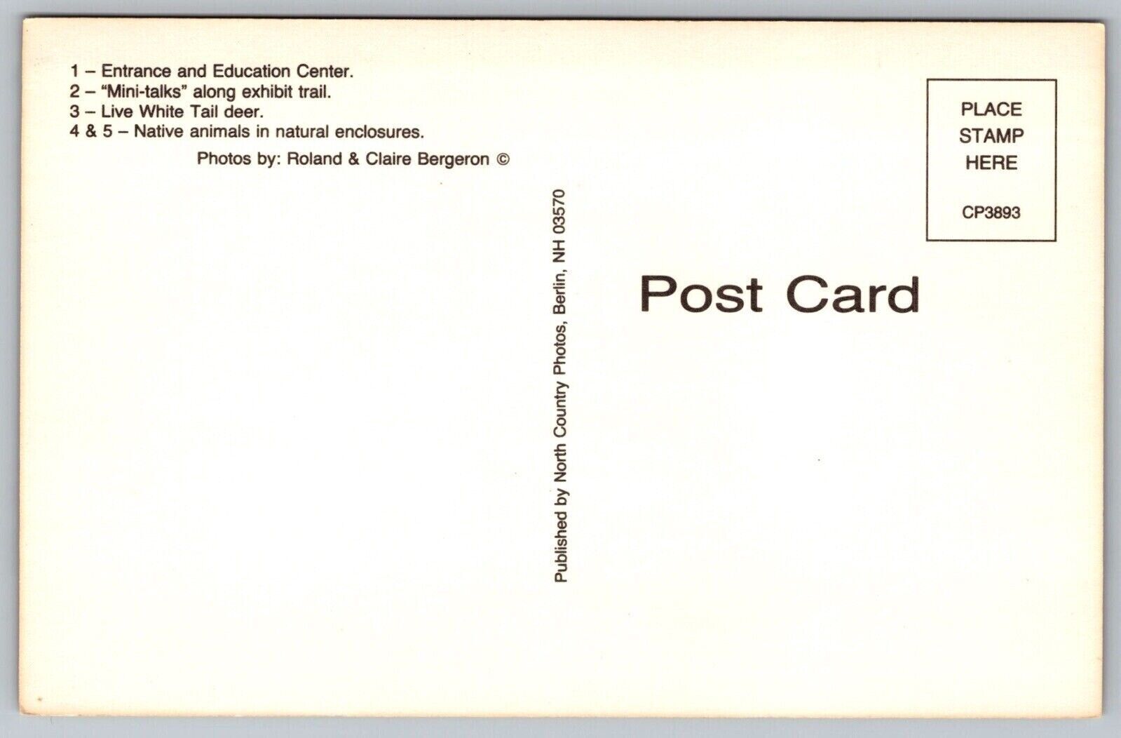 New Hampshire Science Center White Tail Deer Exhibit Trail Vintage UNP ...