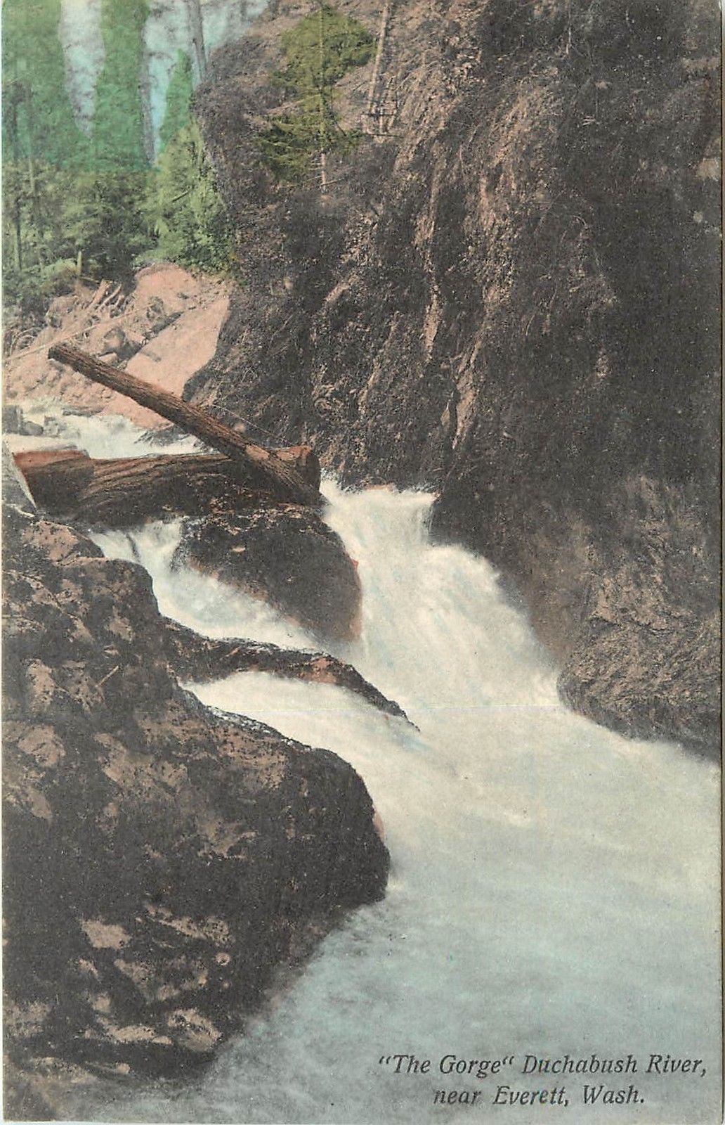 c1907 Hand-Colored Postcard The Gorge, Duchabush River near Everett WA ...