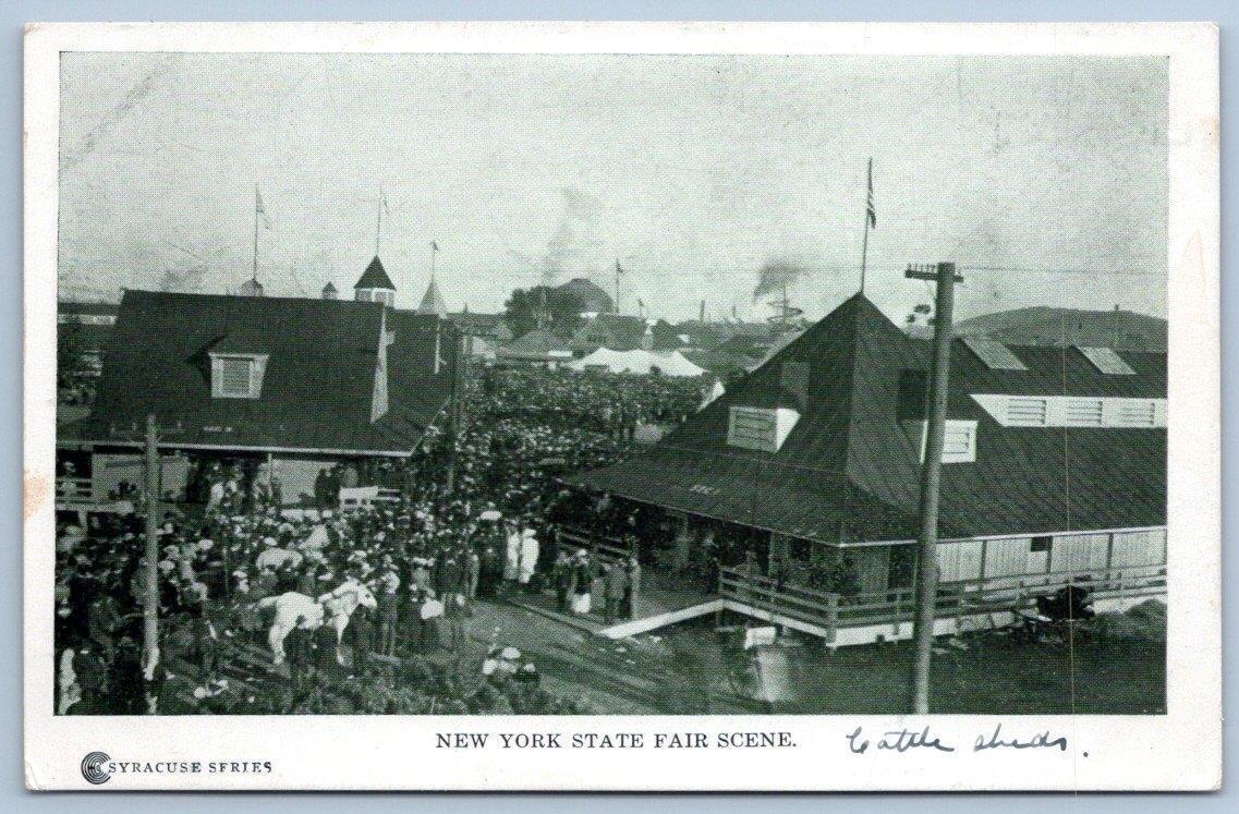 PRE 1907 New York State Fair Scene*Cattle Sheds*Syracuse Series ...