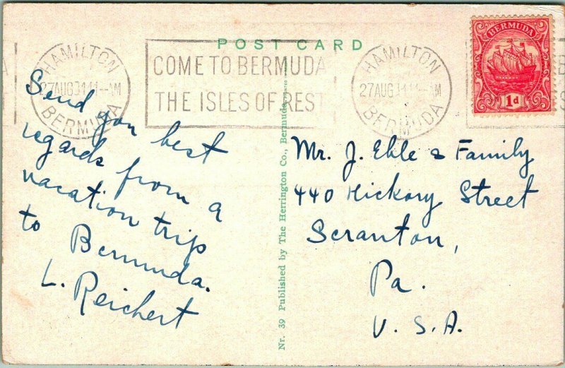 Vintage BERMUDA Postcard "A Lane, St. Georges" Palm Tree Ocean View ...