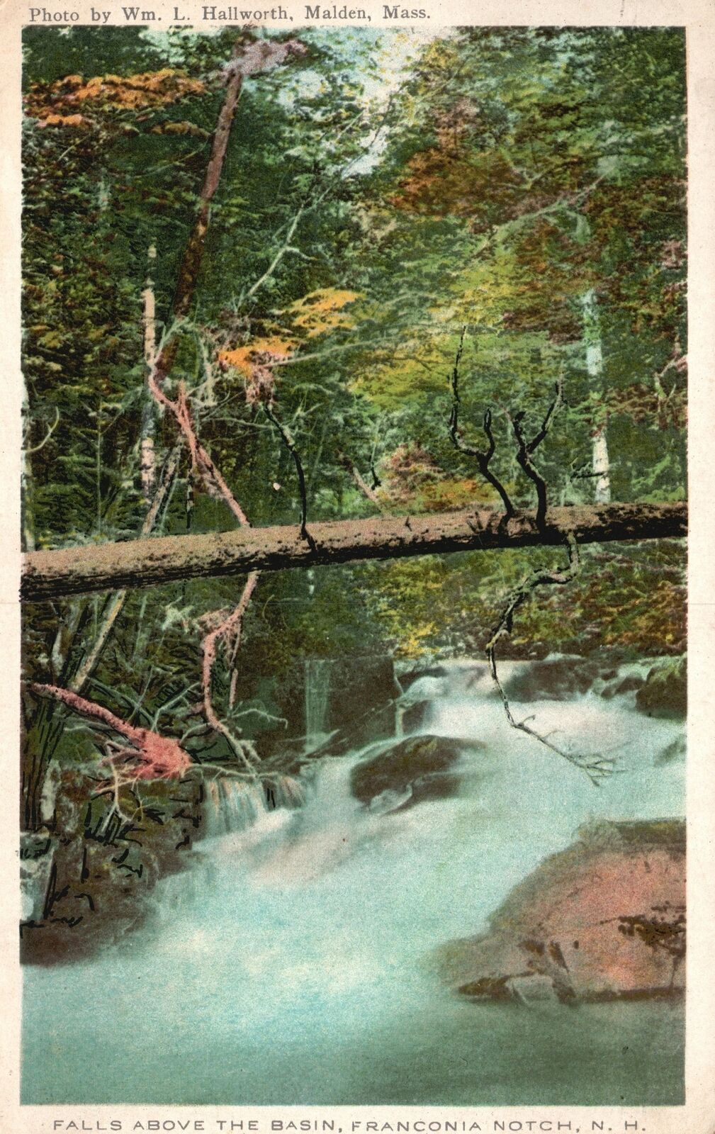 Vintage Postcard Falls Above The Basin Waterfalls Franconia Notch New ...