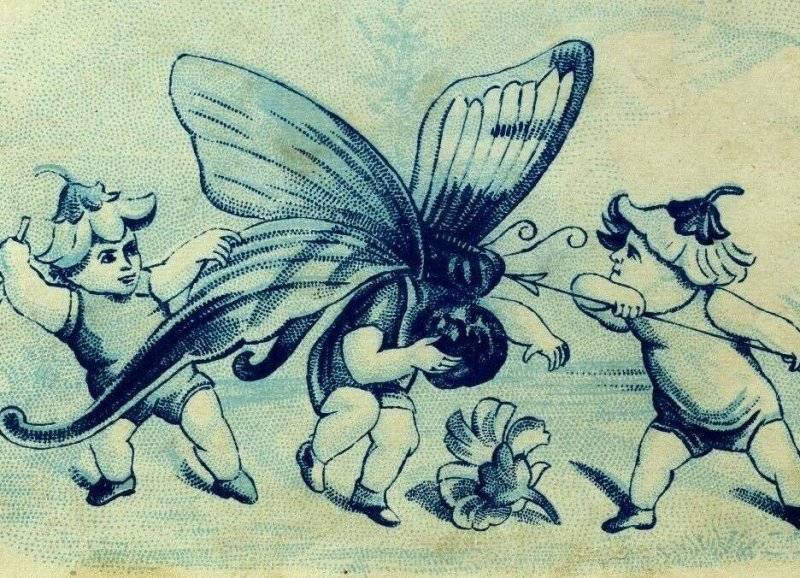 1880's Lovely Flower Fairies Battling Giant Insects Victorian Trade ...