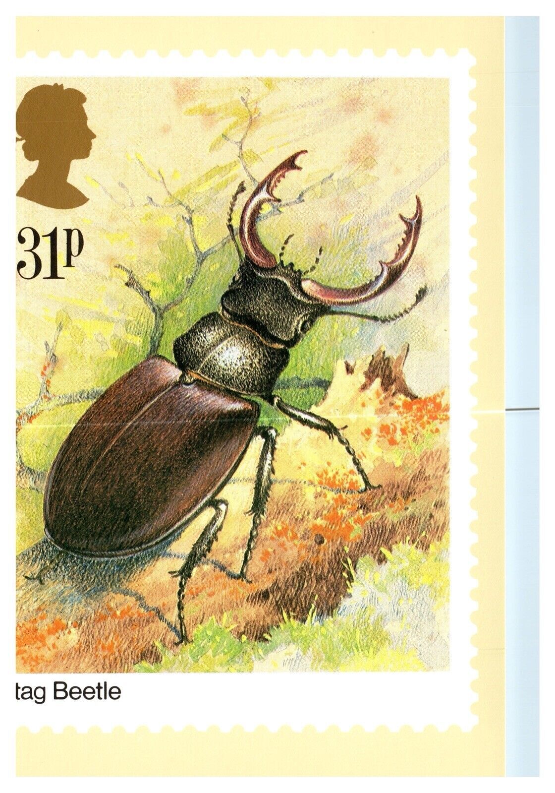Insects Stag Beetle Stamp Gordon Beningfield Bug Chrome Postcard UNP ...