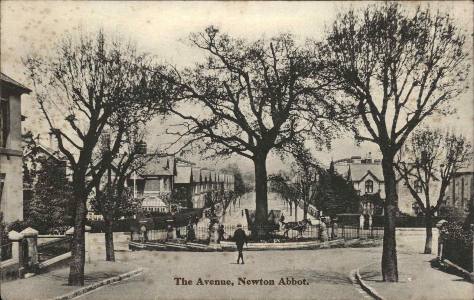 Antique PC Newton Abbot DEVON The Avenue Street Scene Postcard | Europe ...