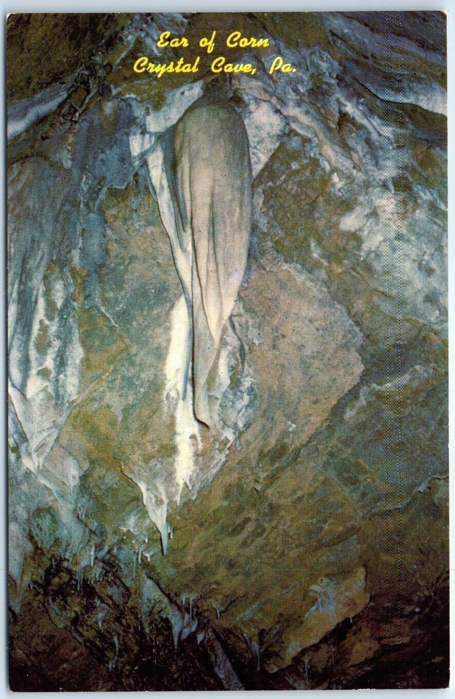 Postcard - Ear of Corn formation at Famous Crystal Cave - Pennsylvania ...
