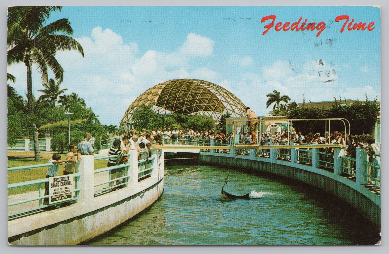 Theme Park~Miami FL~Seaquarium~Feeding Time In The Shark Channel ...