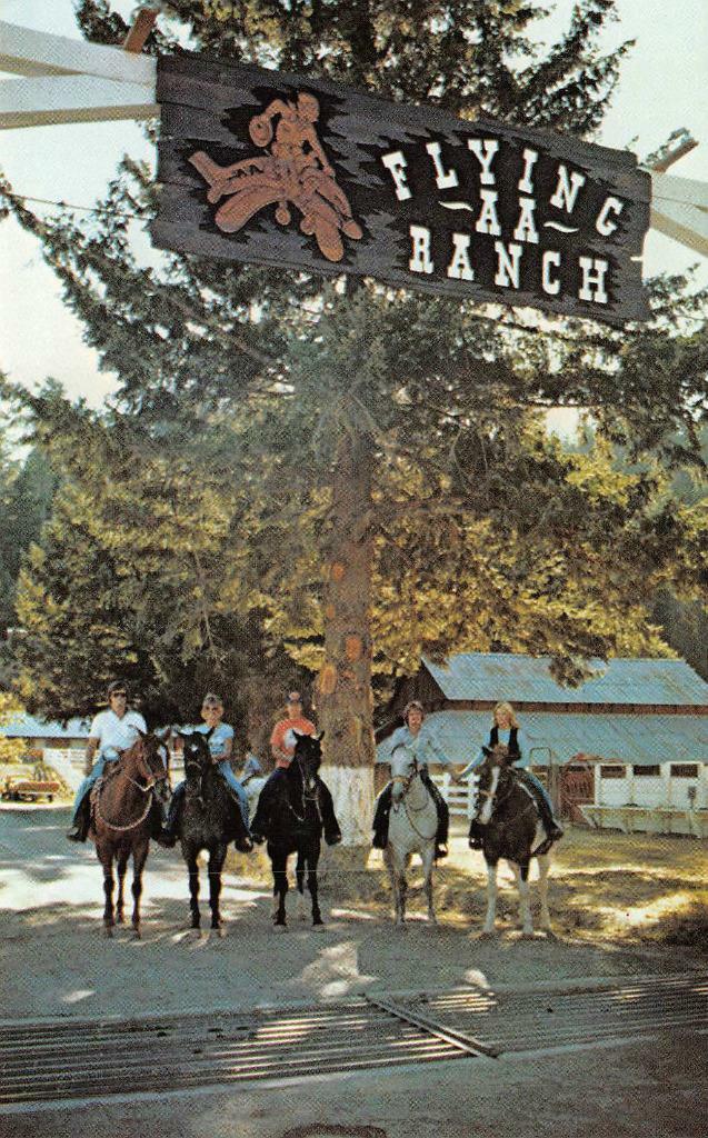 FLYING AA RANCH Ruth, CA Trinity County Horseback Riders c1970s Vintage ...