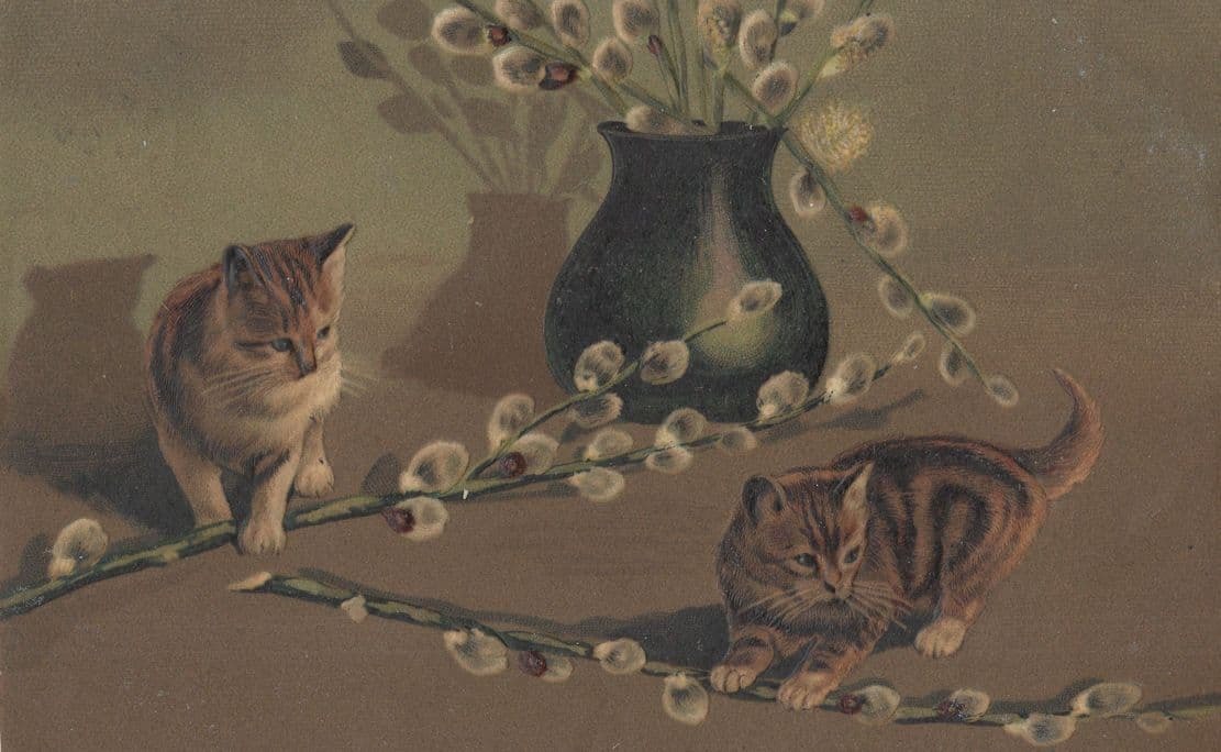 German Cats With Daisy Chain Made Of Thistles Old Cat Postcard | Topics ...