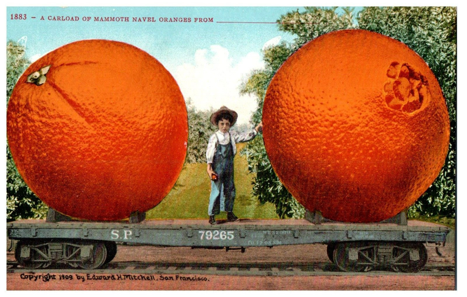 No. 1883 Car Load of Mammoth Oranges San Francisco, CA Mitchell ...