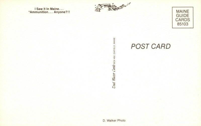 Vintage Postcard Mile Beach & Griffith Head from Todd's Point Reidd ...