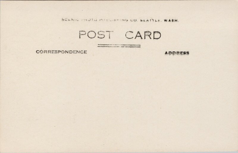 Summit Lake YT White Pass and Yukon Route Tormented Valley RPPC ...