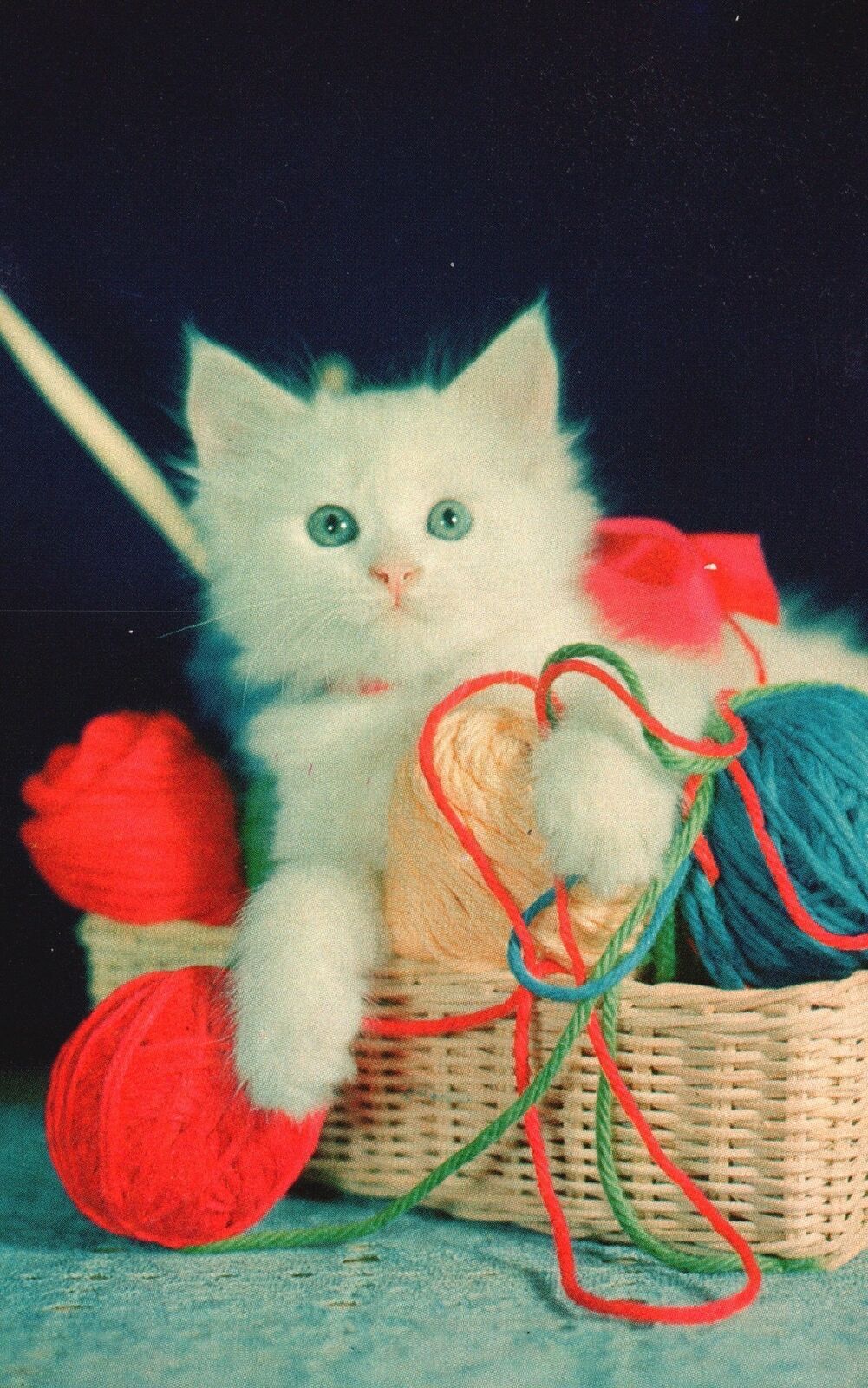 Vintage Postcard Cute Little Pussy Cat Kitten In A Basket With Yarns ...