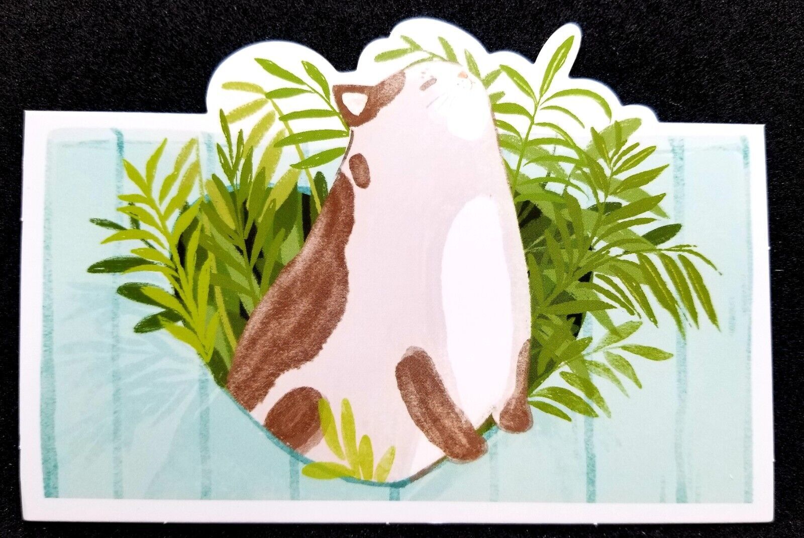 [AG] P379 Cat Painting Drawing Pet Cartoon Animation (postcard) *odd ...