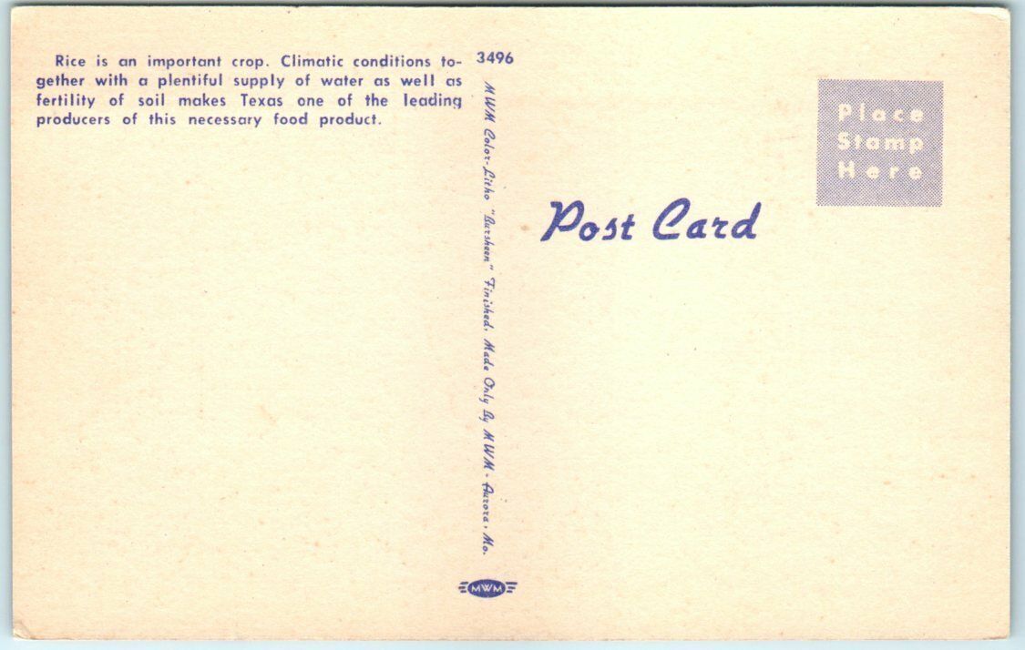 Postcard - A Texas Rice Field at The Lone Star State - Texas | United ...