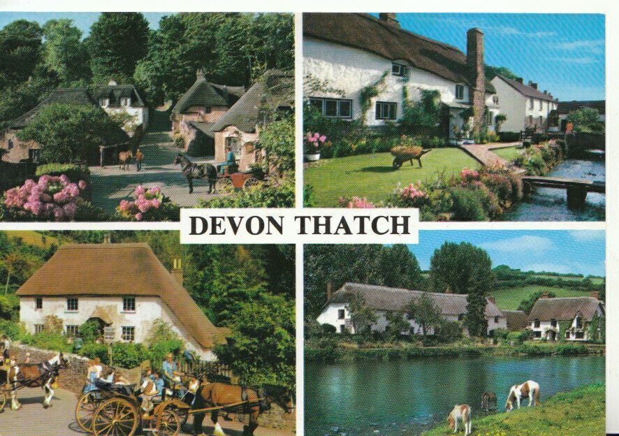 Devon Postcard - Views of Devon Thatch. Posted 1996 - Ref TZ10777 ...