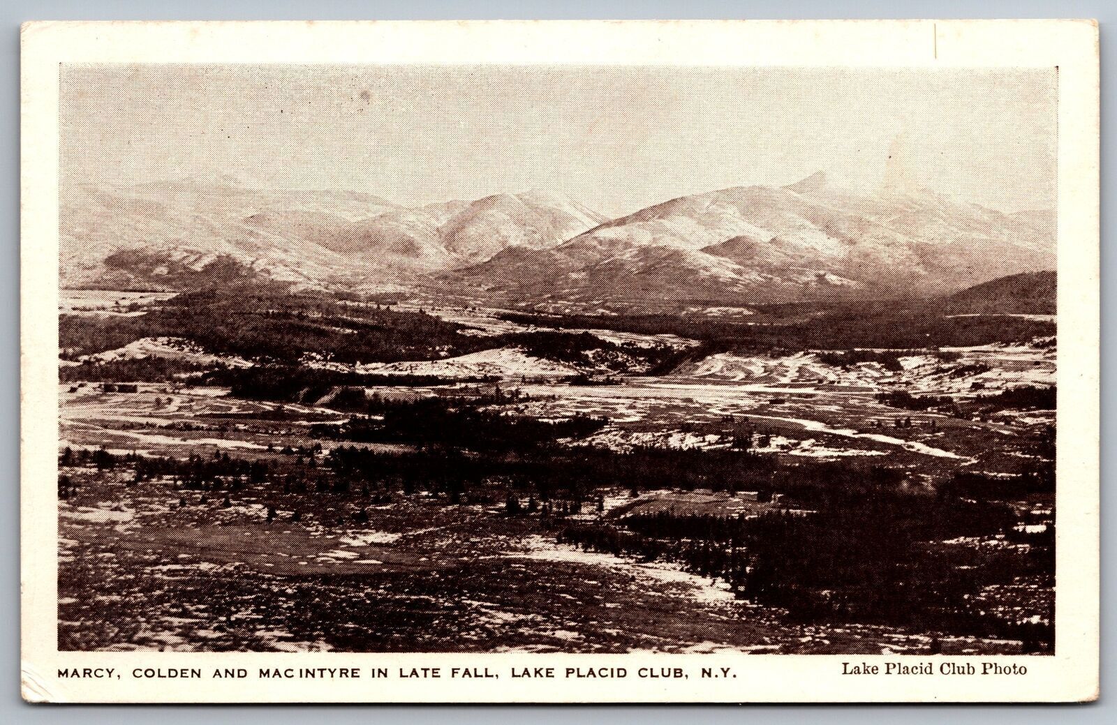 Vintage Postcard Marcy Colden Mac Intyre in Late Fall Lake Placid Club ...