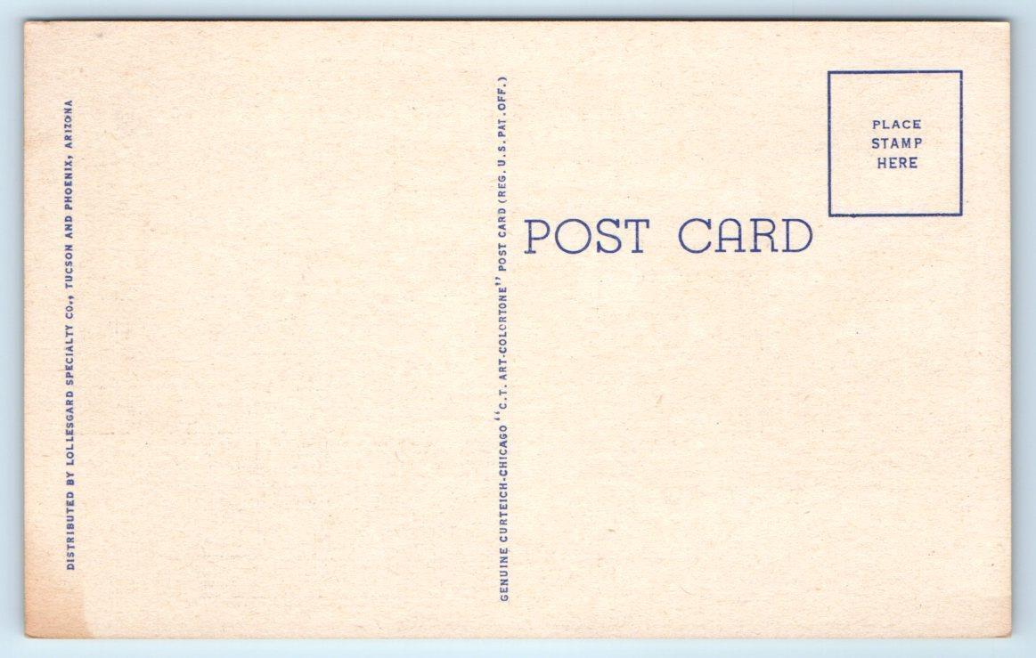 WICKENBURG, AZ Arizona ~ The "JAIL TREE" c1950s Curt Teich Linen ...