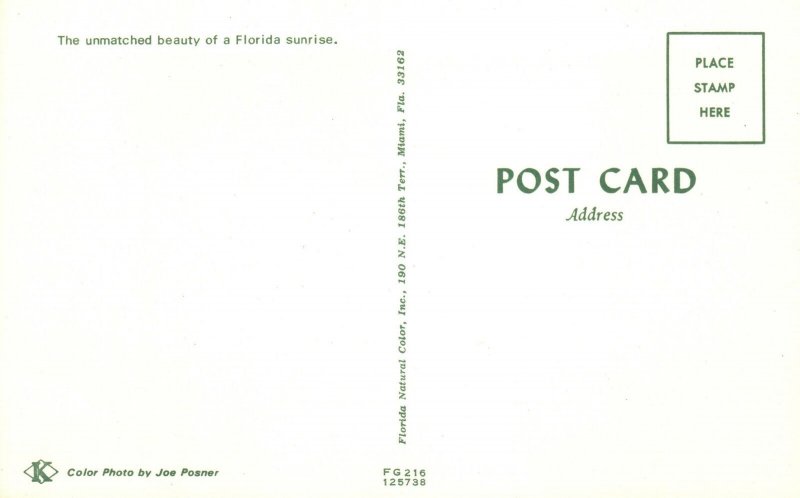 Vintage Postcard See And Much Beauty Of A Florida Sunrise Florida ...