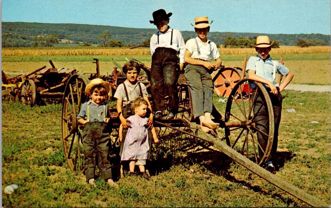 Pennsylvania Amish Country Children Playing Among Farm Instruments ...