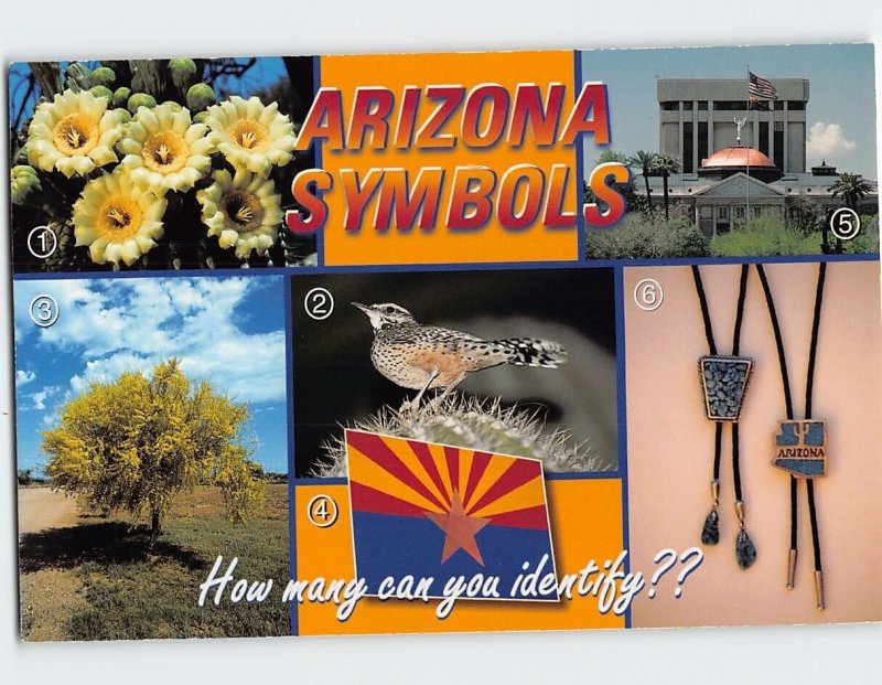 Postcard How many can you identify??, Arizona Symbols, Arizona | United ...