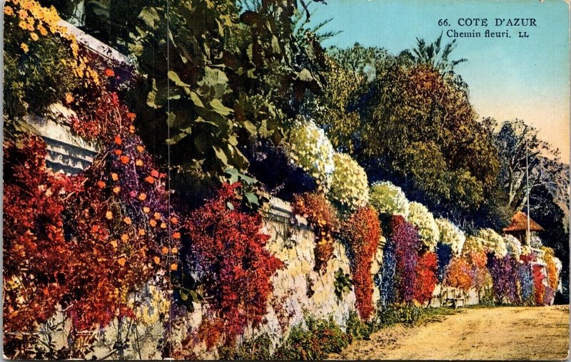 Cote D Azur French Riviera France Gardens Walkway Flowers Scenic DB ...