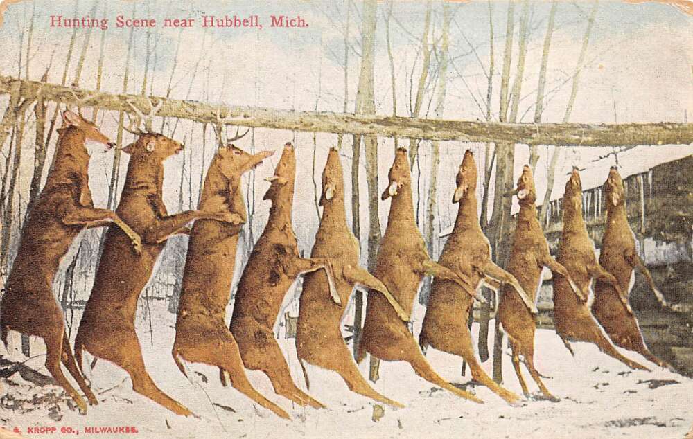 Hubbell Michigan Hunting Scene, Color Lithograph Vintage Postcard ...