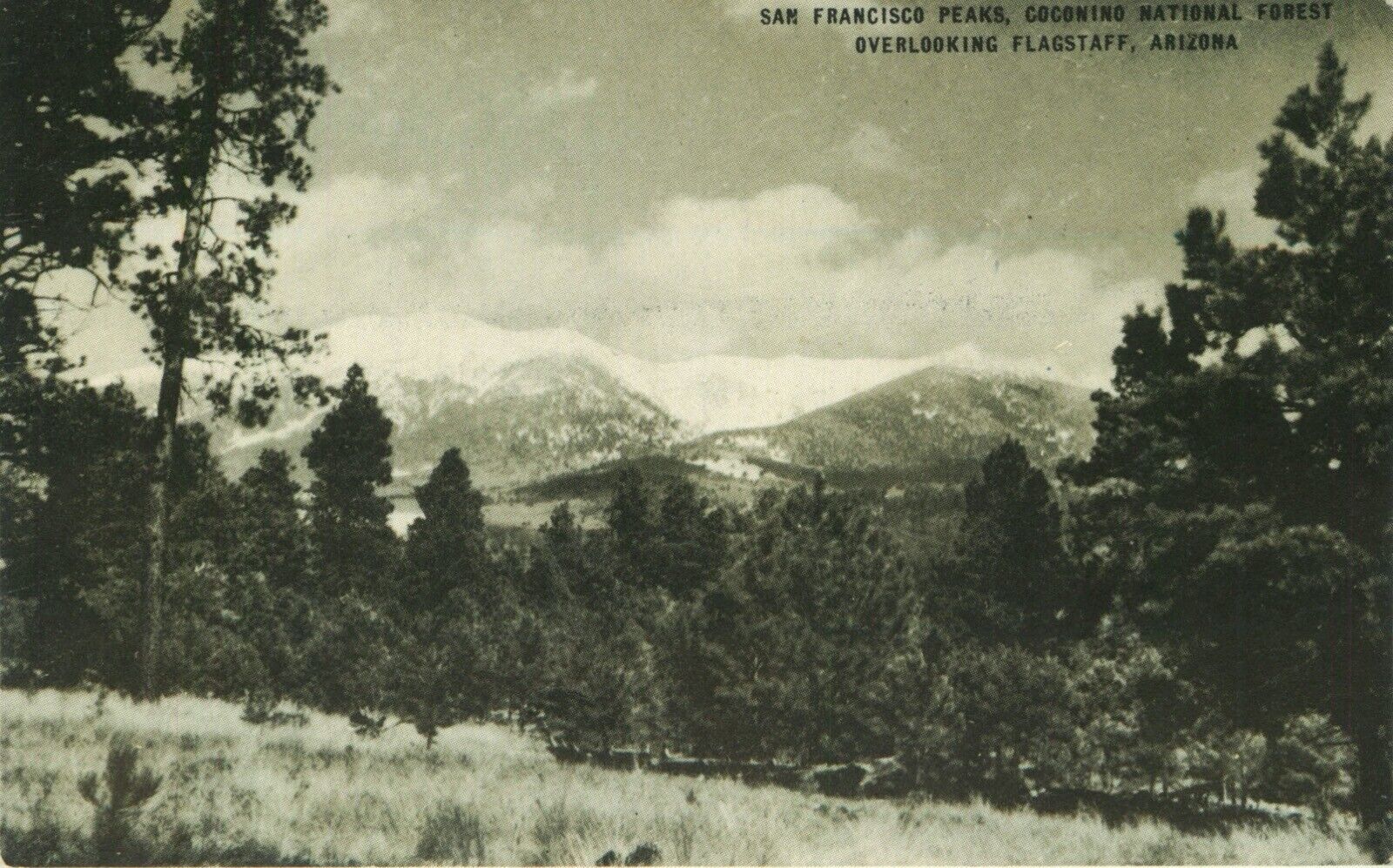 San Francisco Peaks, Coconino Natl Forest, Flagstaff AZ Vtg Conoco Gas ...