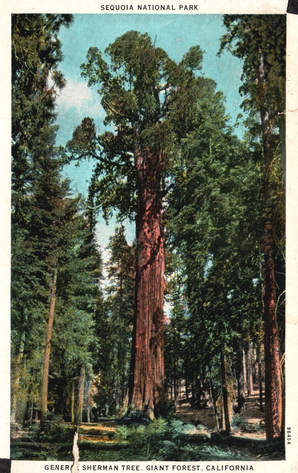 Vintage Postcard 1933 Sequoia National Park General Sherman Tree Giant ...