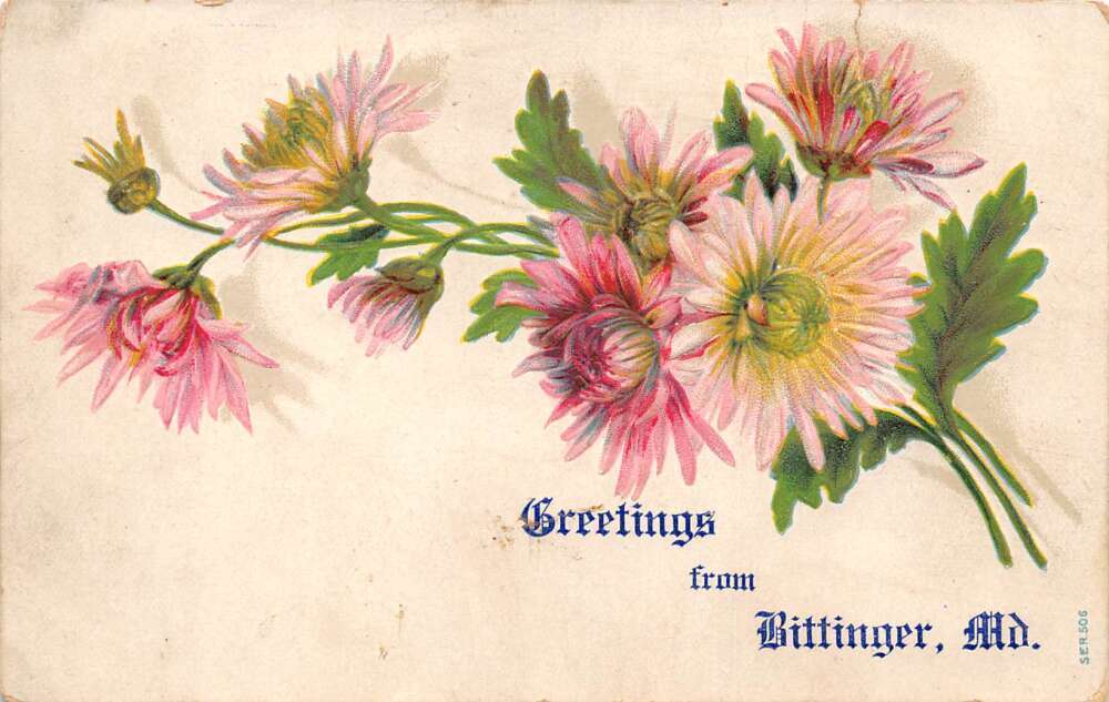 Bittinger Maryland Greetings Pink Flowers Vintage Postcard AA69808 ...