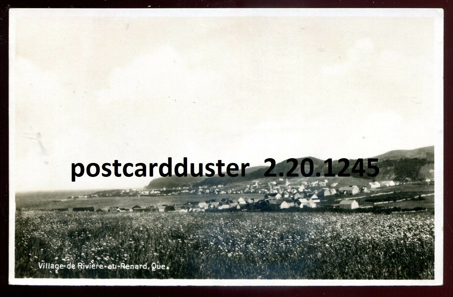 h2817 - RIVIERE AU RENARD Quebec 1920s Panoramic View. Real Photo ...