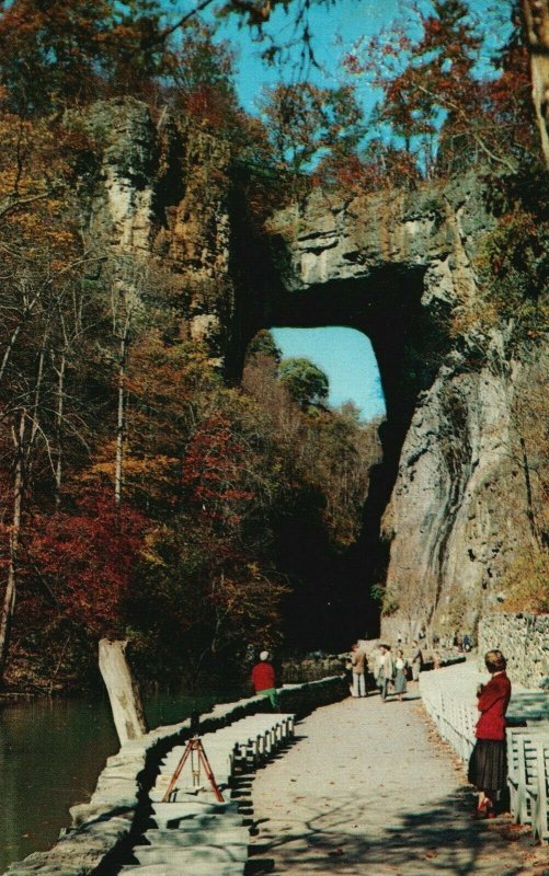 Vintage Postcard Natural Bridge Seven Natural Wonders of the World ...