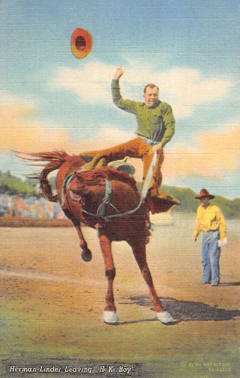 Doubleday Herman Linder H K Boy Horse Rodeo Linen Antique Postcard ...