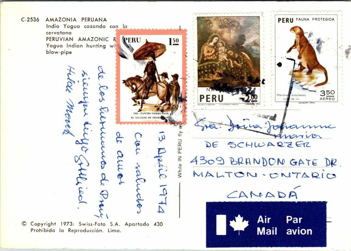 Vintage Continental Size Postcard Peruvian Amazonic Yagua Indian With ...