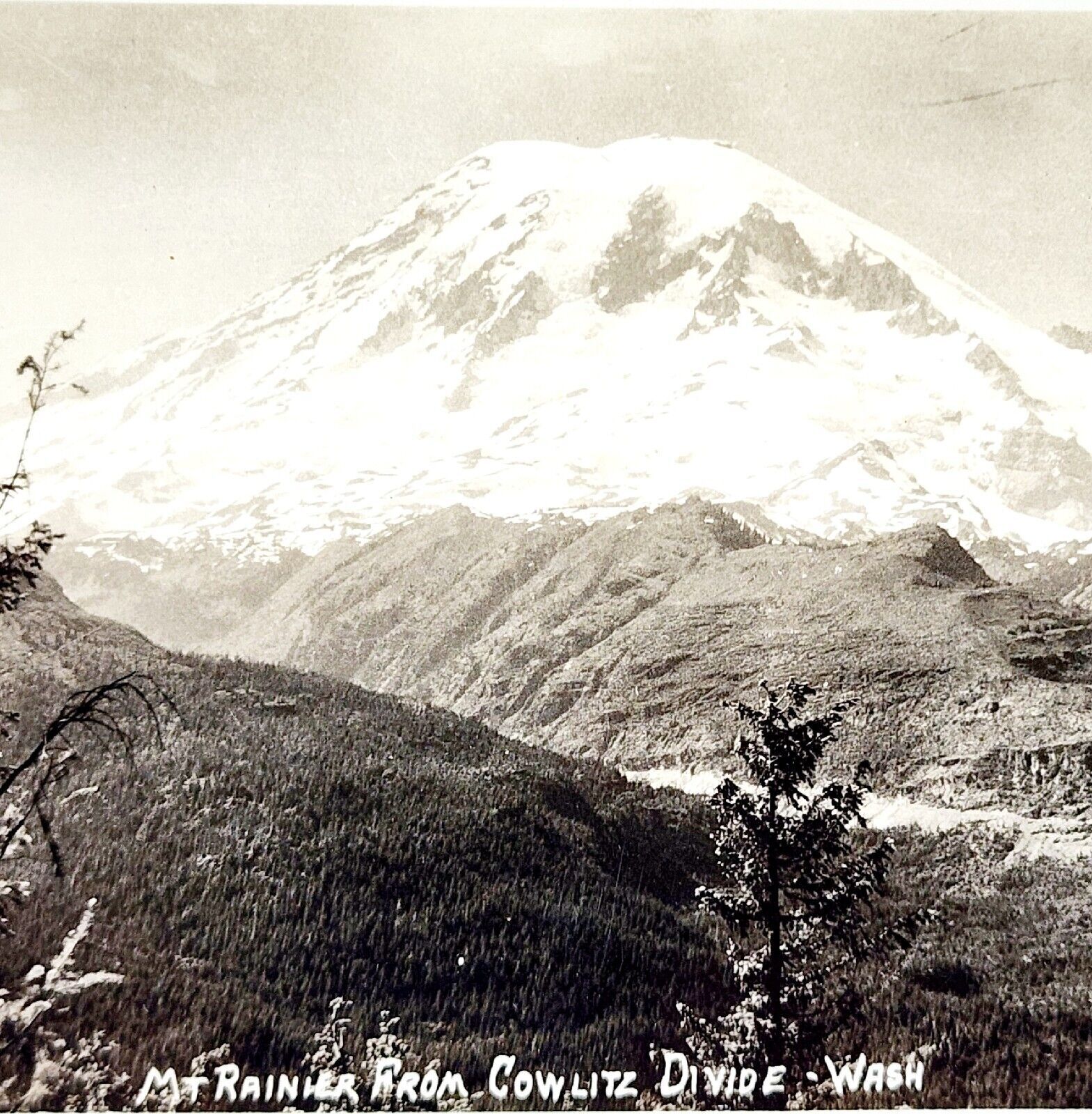 RPPC Mount Rainier From Cowlitz Divide Ellis 1920s Washington Pacific ...